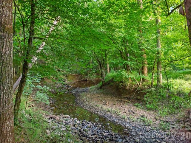 0000 Lucy Short Cut Road # 3