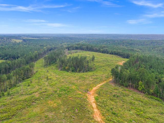 0000 Penner Rd Lot 10