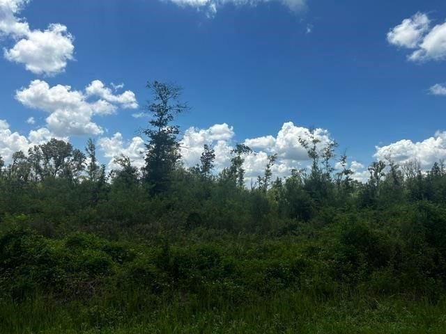 0000 Piney Point Lane