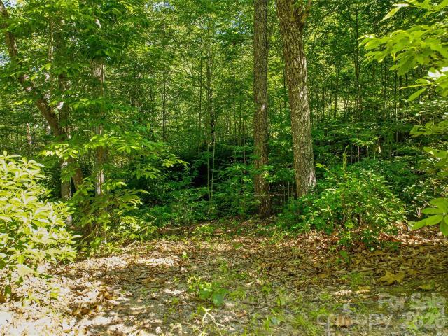 0000 Red Bud Lane # 3 F