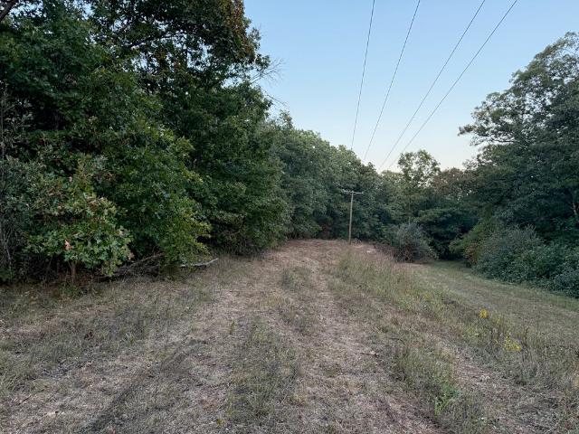 0000 Redbud