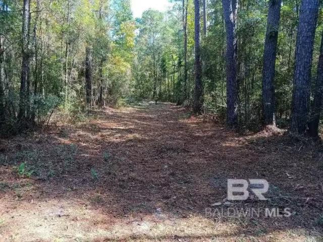 0000 RICE CREEK ROAD, STOCKTON, AL 36579 Vacant Land For Sale.