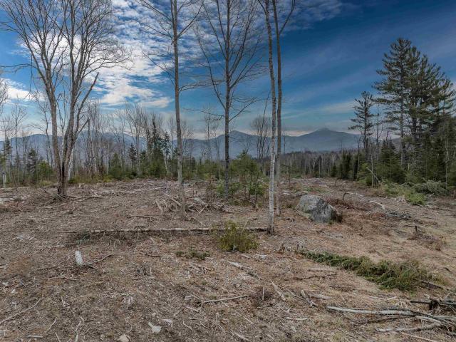 0000 Ridge Road # 42