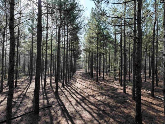0000 Salley Road