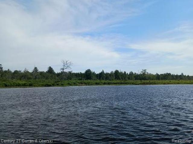 0000 Tahquamenon River shore