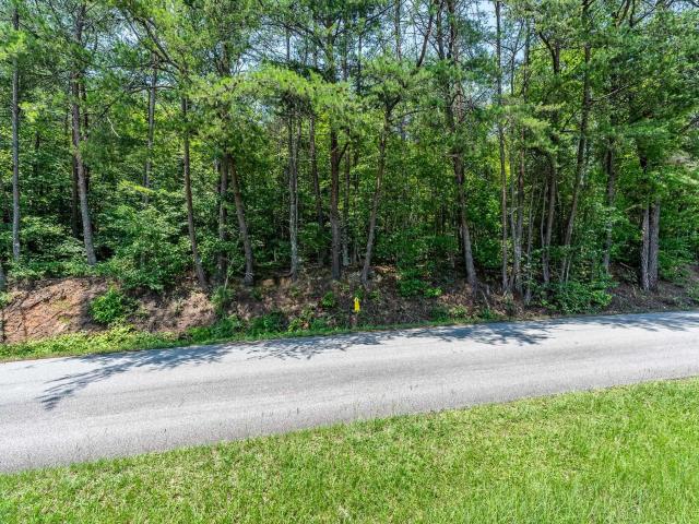 0000 Trammell Road # Lot 4
