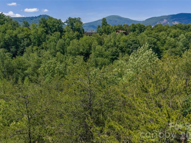 0000 View Trail