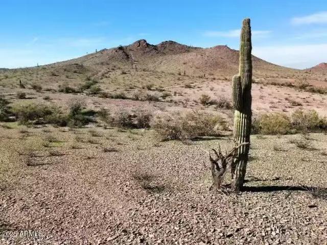 0000 W CAMBRIDGE AVENUE # F, TONOPAH, AZ 85354