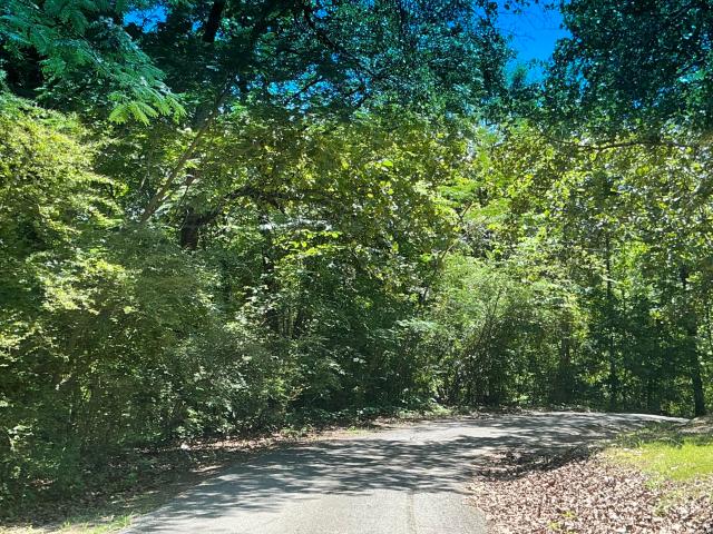 0000 Winding Lane