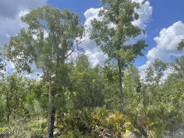 0000A NW Rowland Ln, Fountain, FL 32438