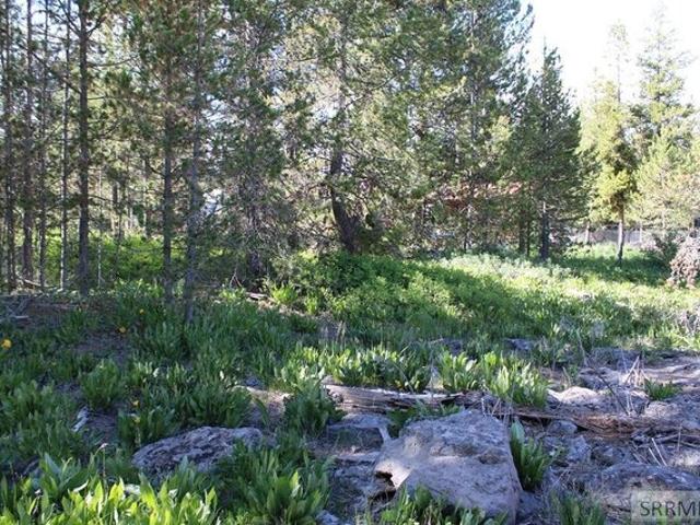0001 N Buffalo Ln, Island Park, ID 83429