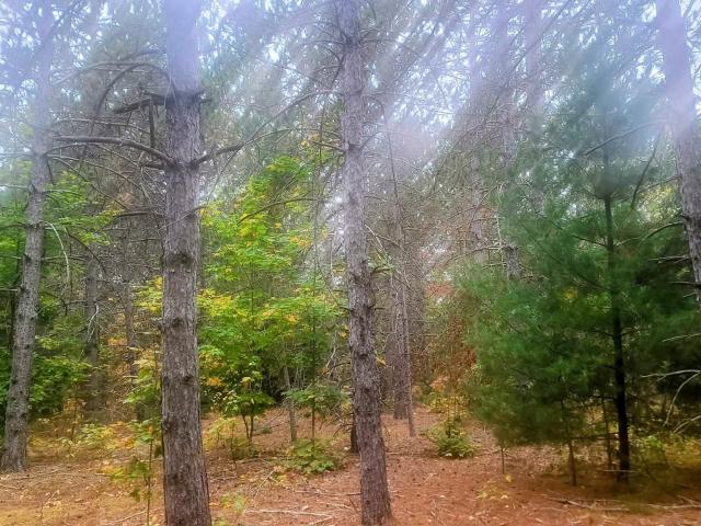 0001 Cedar River Road