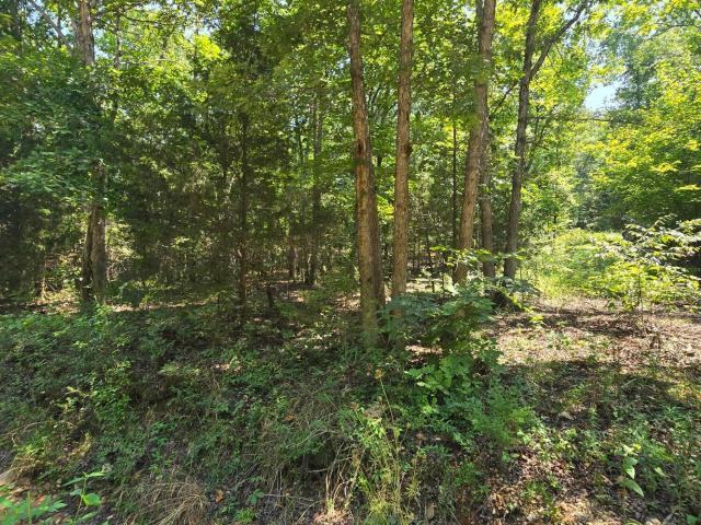 0001 County Road 421
