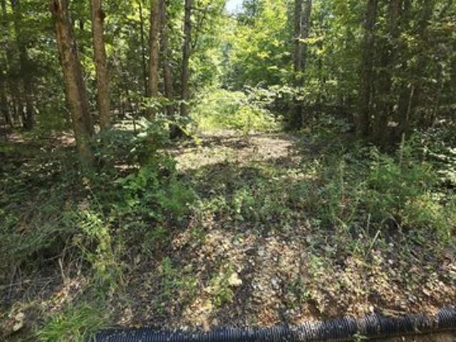 0001 County Road 421, Birch Tree, MO 65438