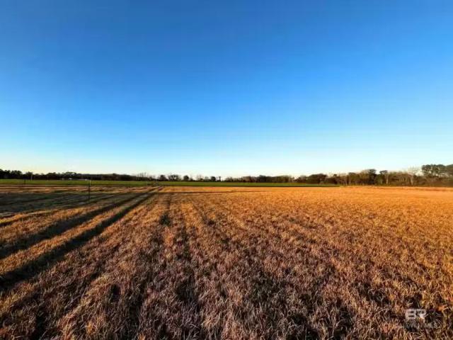0001 E GREENWOOD ROAD, SUMMERDALE, AL 36580 Vacant Land For Sa.