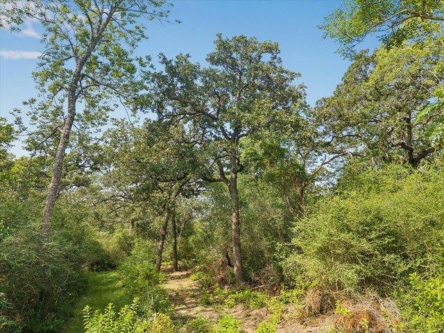 0001 Highway 159 W, Bellville, TX 77418