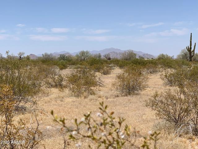 0001 W Whirly Bird Lot 4 Road #