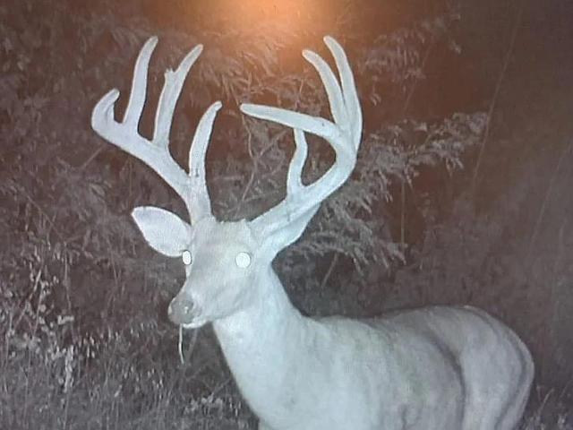 0002 County Road 3416