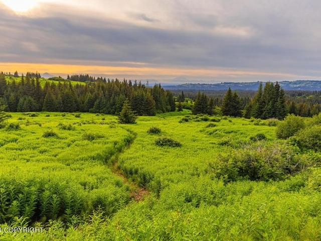 0002 W Highlands Blvd, Homer, AK 99603