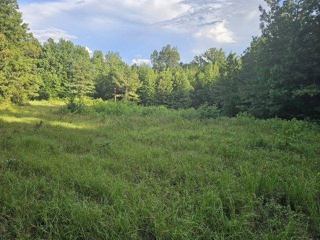 000Z Huckaba Rd, Russellville, AL 35653