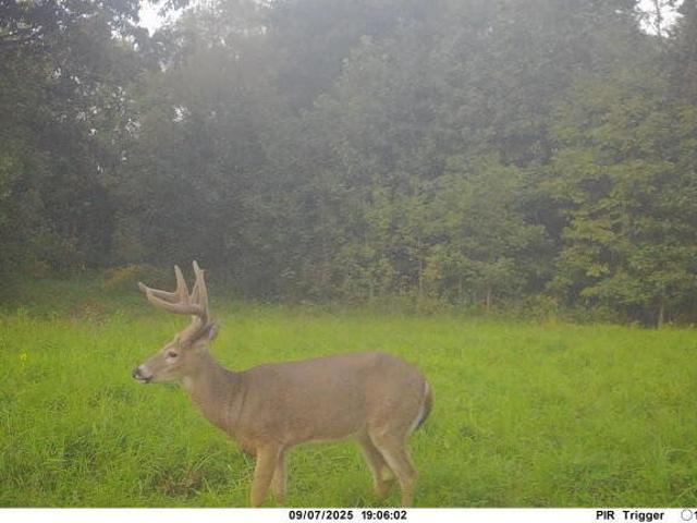 000 0 Dunlap Rd
