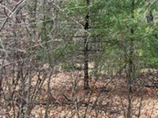 000 303 Otter Trl, Moffatt Township, MI 48610