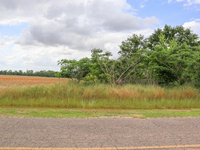 000 36 Acres Rice Road