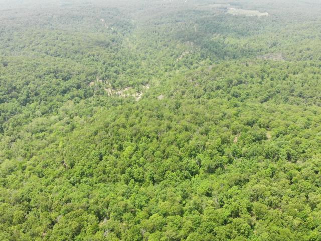 000 64 Hwy # Lot 19