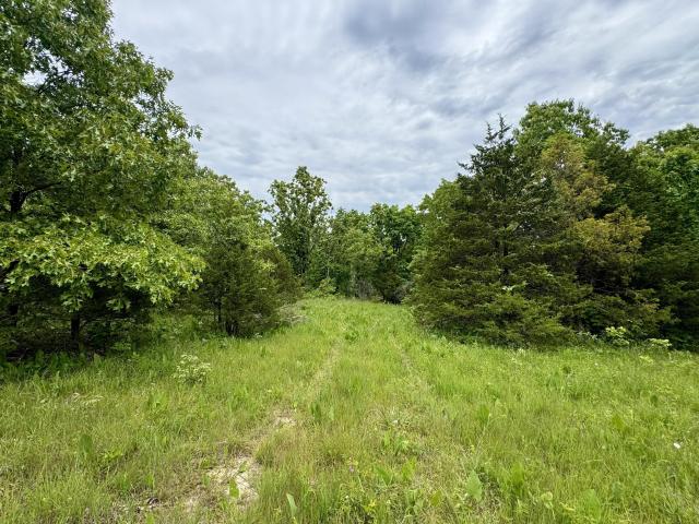 000 Cottengim Road