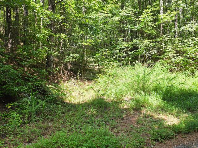000 County Rd 184