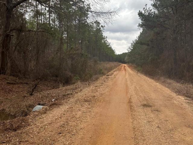 000 county rd 229