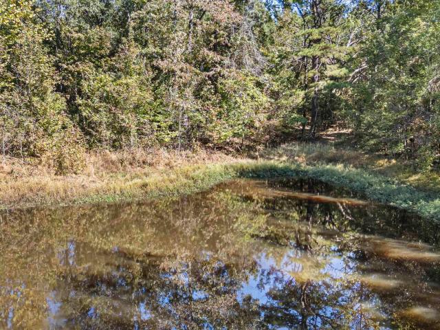 000 County Rd 4200