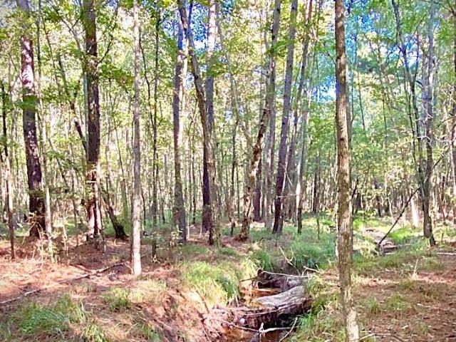 000 County Road 1190