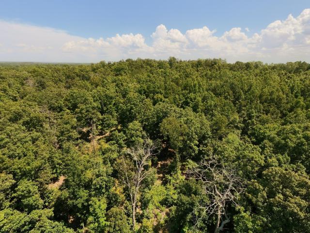 000 County Road 127
