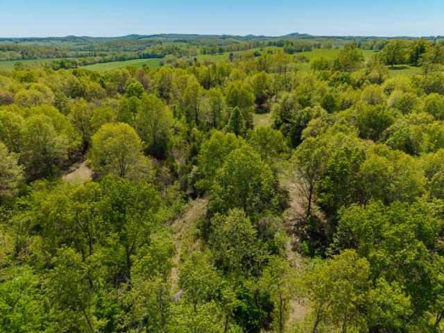 000 County Road 132