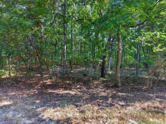 000 County Road 158 # 0