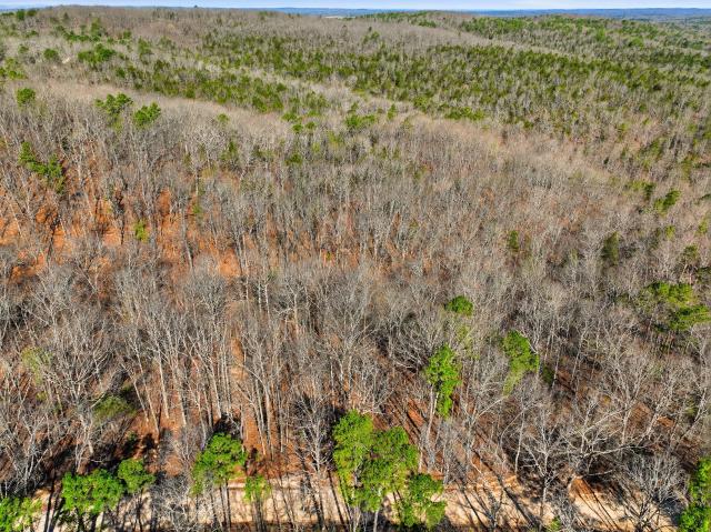 000 County Road 158