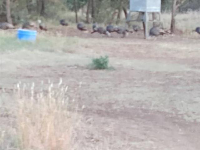 000 County Road 152