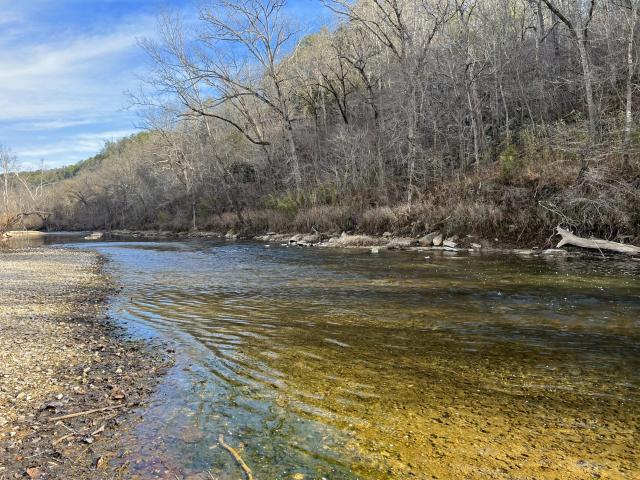 000 County Road 169