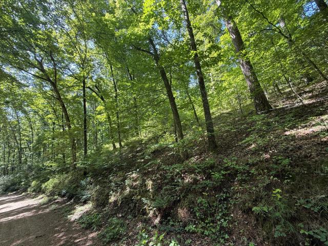 000 County Road 179