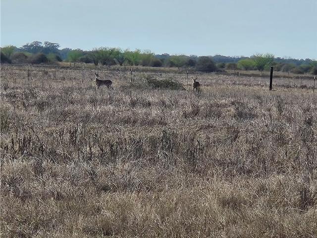 000 County Road 18 30.73 Acres Tract 2