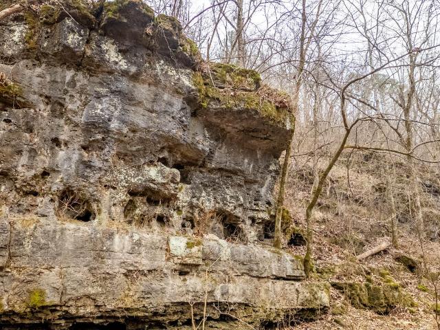 000 County Road 19 A