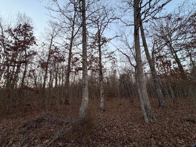 000 County Road 204