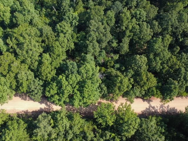 000 County Road 219
