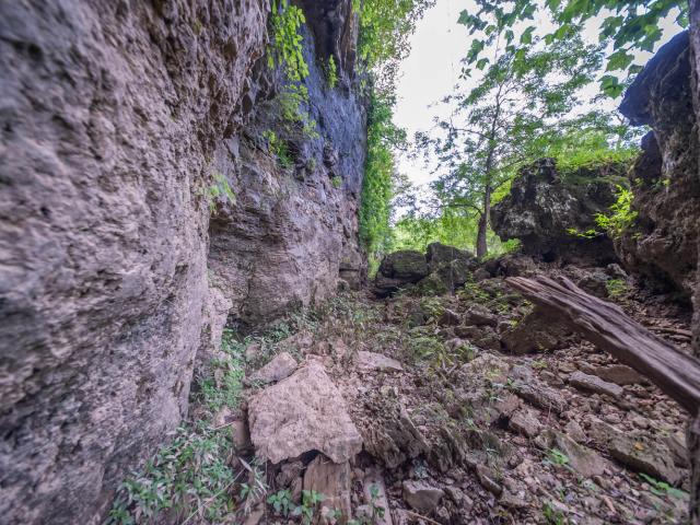 000 County Road 2661