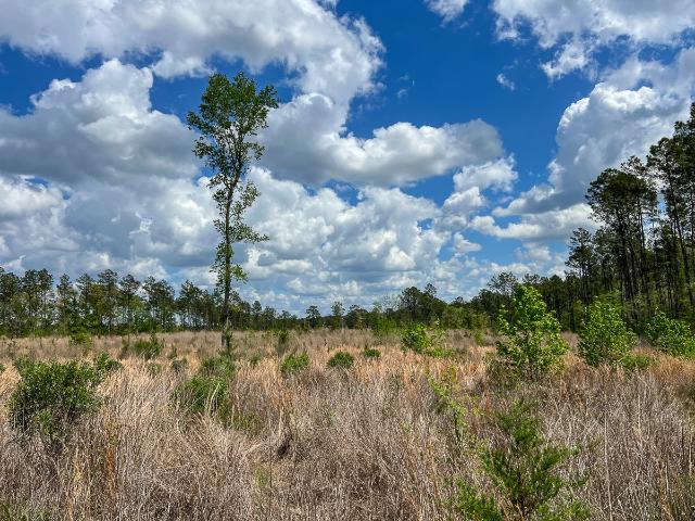 000 County Road 2834