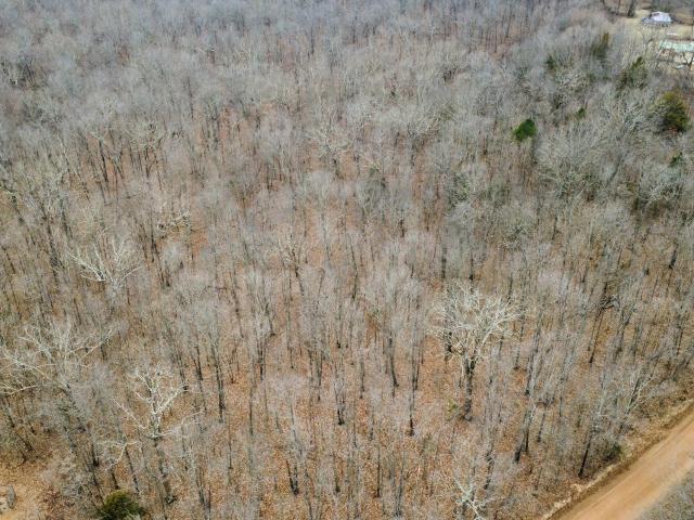 000 County Road 302