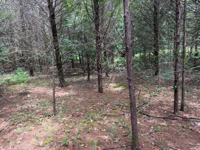 000 County Road 318 # Lot 4
