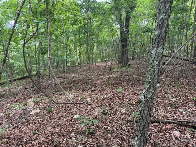 000 County Road 318 # Lot 7