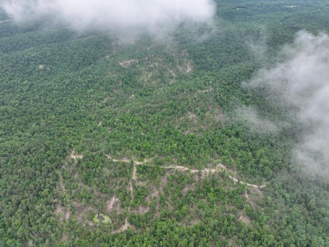 000 County Road 320